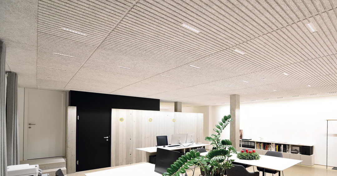 Office space shown in the best light | Troldtekt