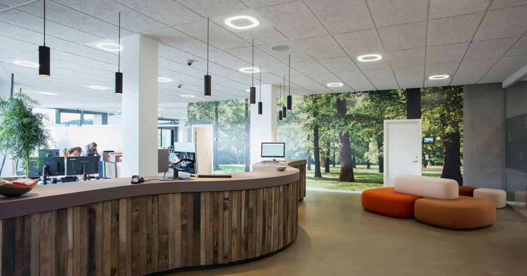 Well-designed work environment at AAB Silkeborg | Troldtekt